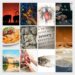 1000 Amazing Facts You Won't Believe